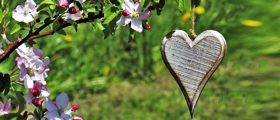 Creating a Unique Memory Garden – West Coast Gardens