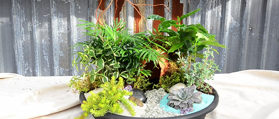 Miniature Garden – West Coast Gardens
