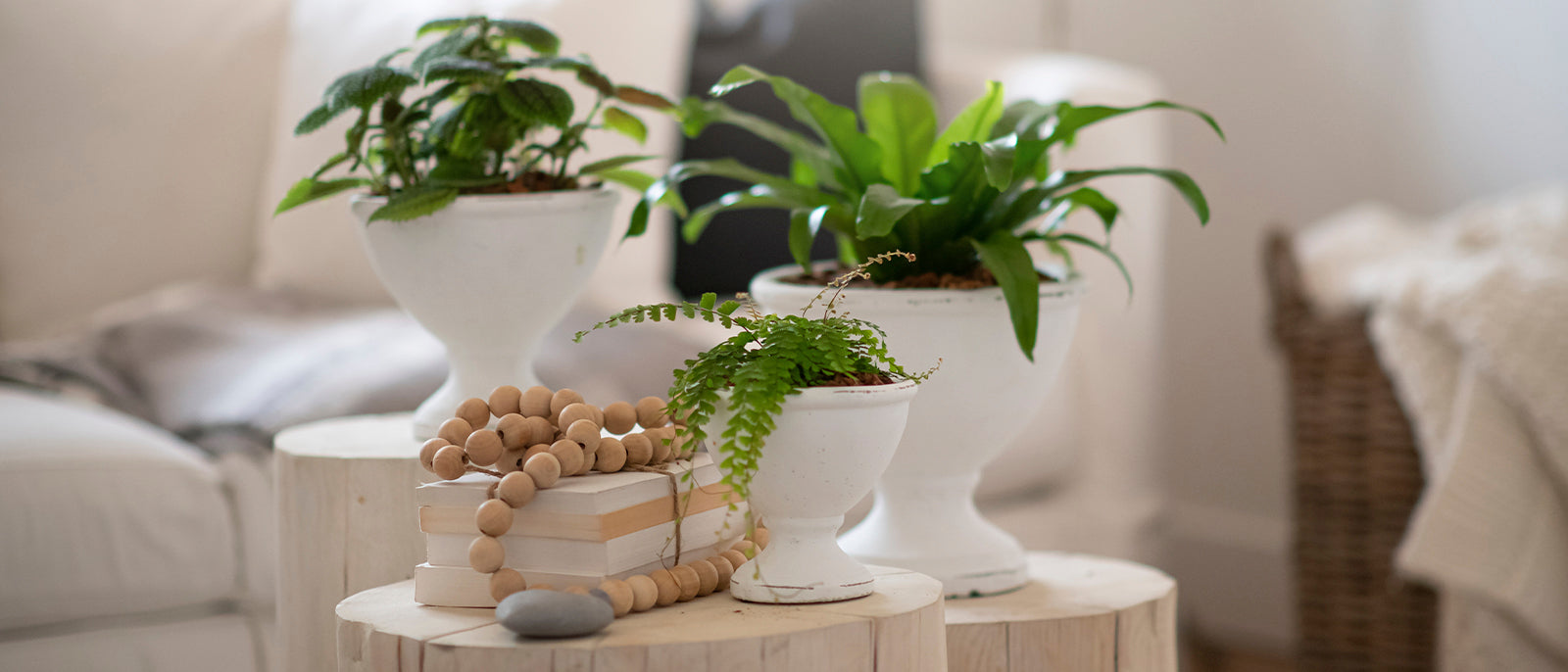 Incorporating Natural Elements into Your Home Design – West Coast Gardens