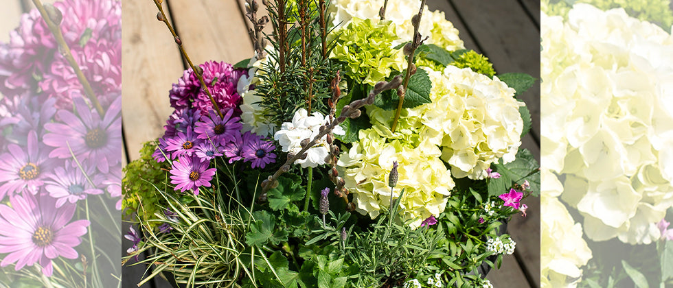 Spring Love Letter - Planter Template – West Coast Gardens